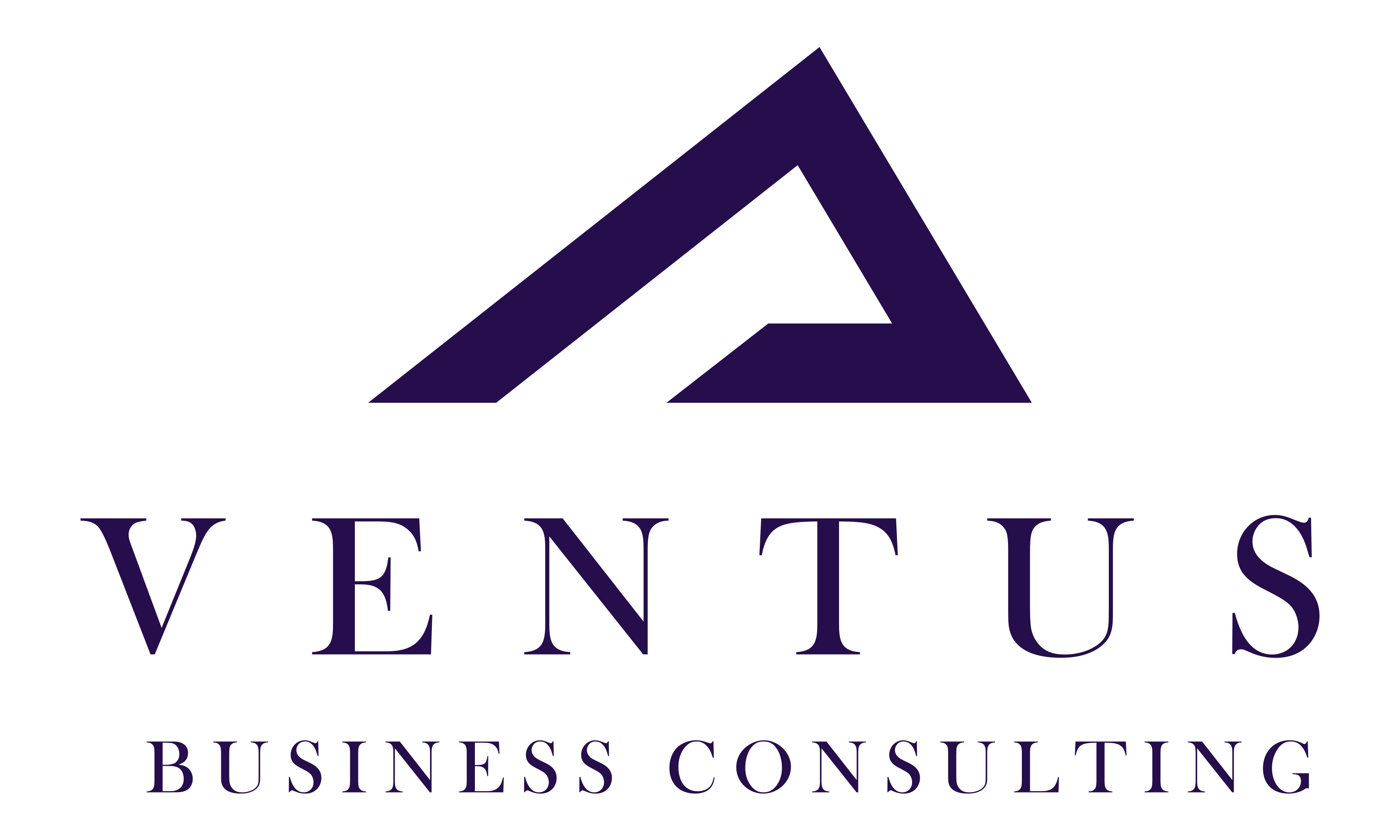Ventus Business Consulting